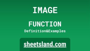 IMAGE Function: Definition, Formula Examples and Usage